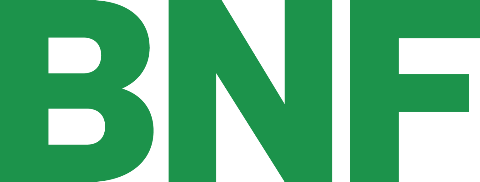 Home - BNF Corporation